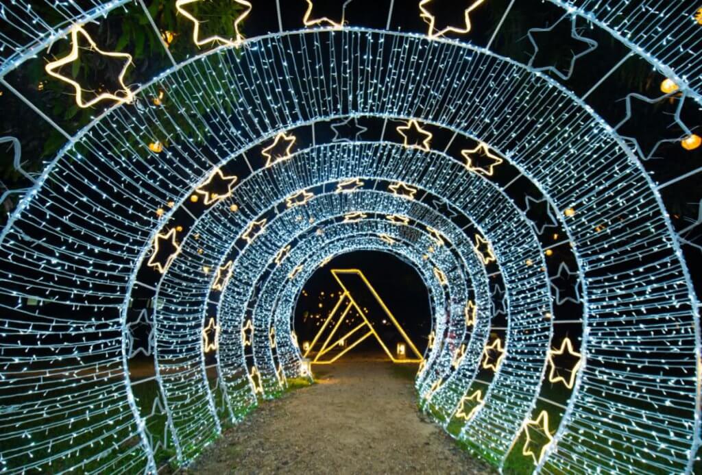 5 Things Every AVLCI Member Should Know | AVLCI